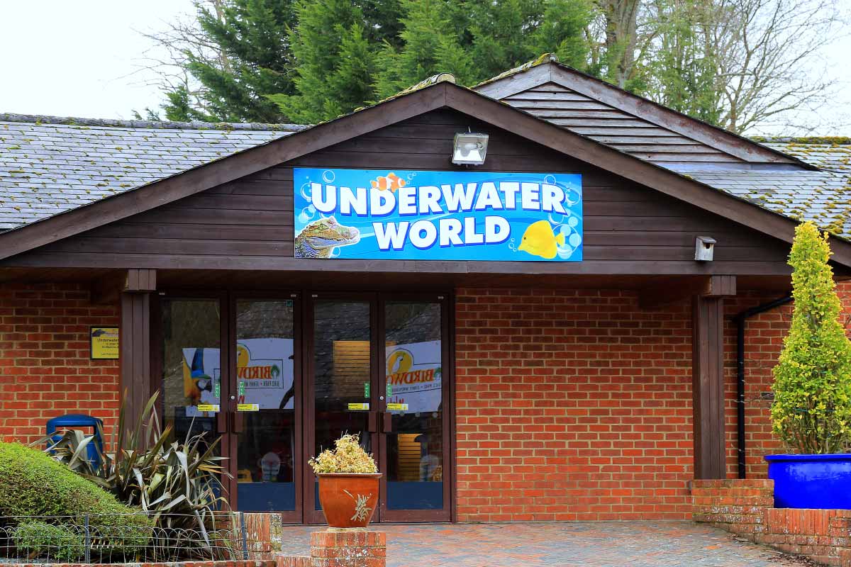 Permanent closure of Underwater World at Birdworld - Birdworld
